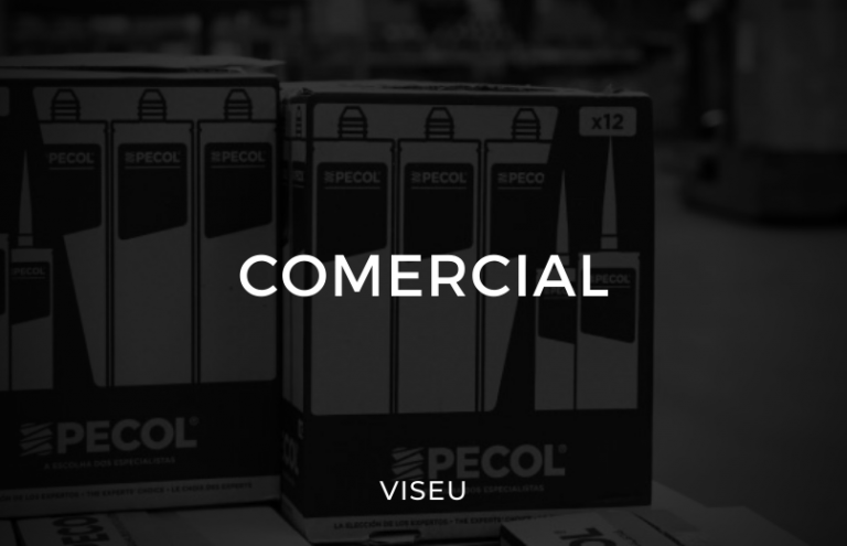 Comercial - Viseu| Carreiras | PECOL